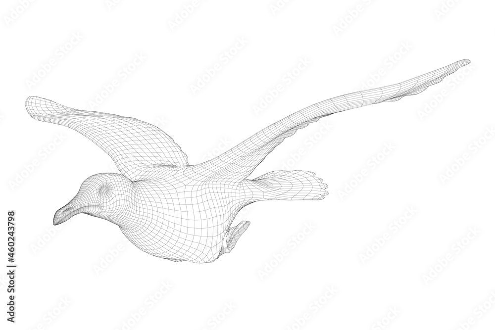 Flying bird wireframe isolated on white background. Side view. 3D ...