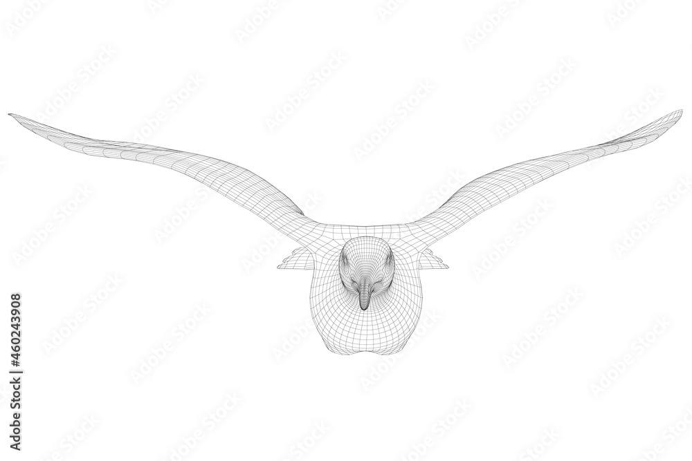 Flying bird wireframe isolated on white background. Front view. 3D ...