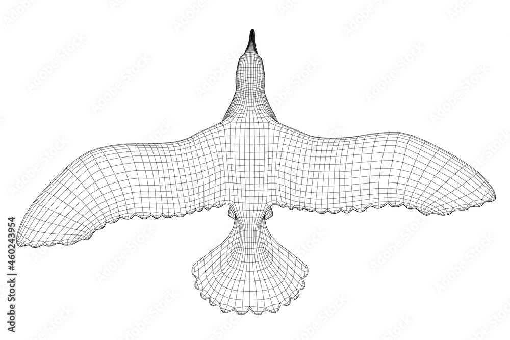 Flying bird wireframe isolated on white background. View from above. 3D ...