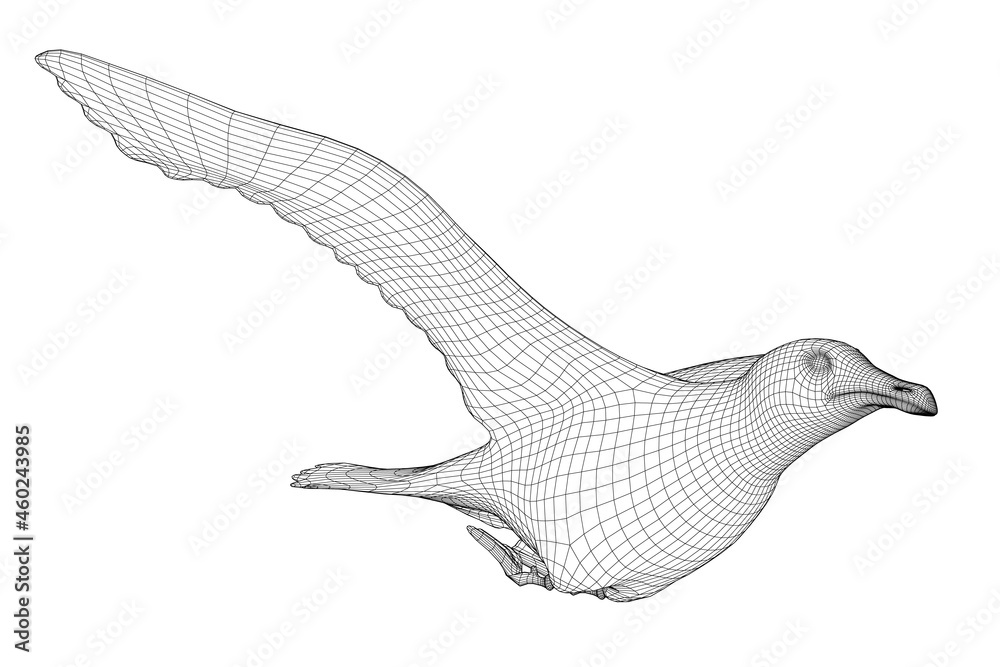 Flying bird wireframe isolated on white background. Side view. 3D ...