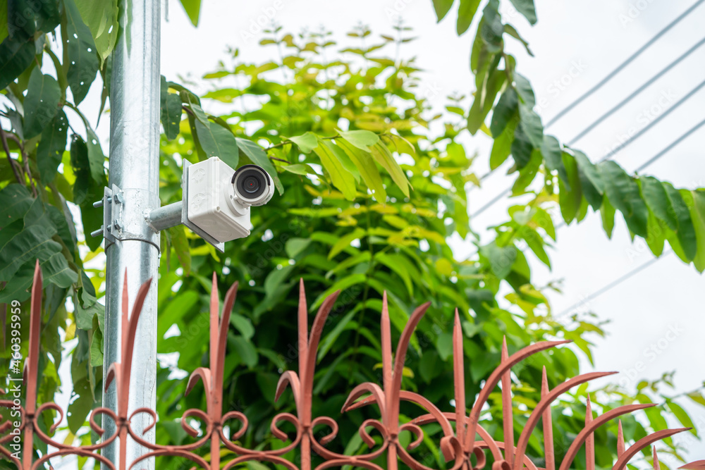 CCTV camera is installed in the garden with blur green tree background ...
