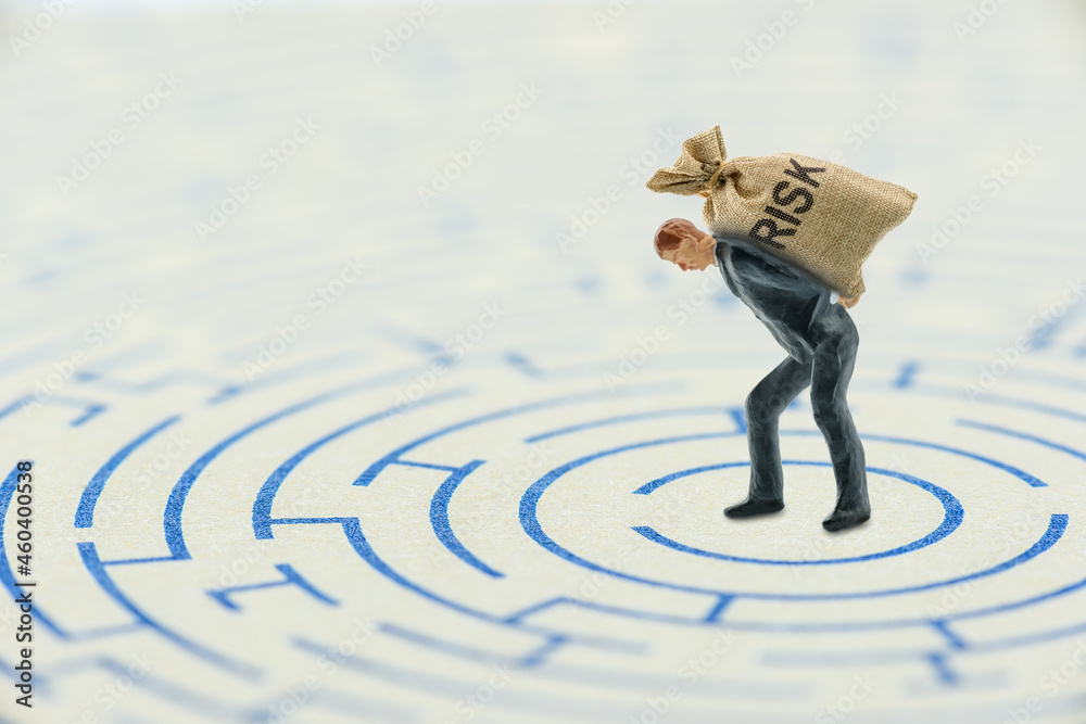 Foto de Risk assessment, financial concept, Leader bears or carry a ...