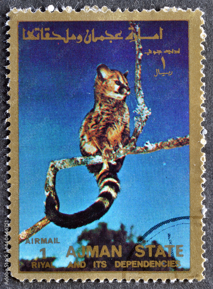 Ajman - circa 1973 : Cancelled postage stamp printed by Ajman, that ...