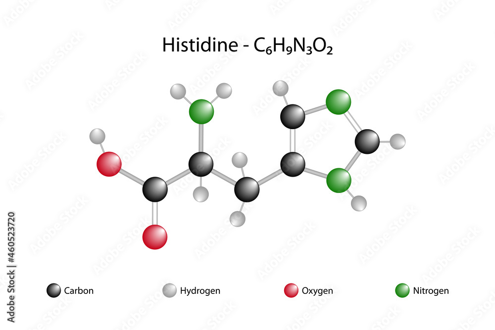 Histidine molecular formula. Histidine is one of the 22 common amino ...