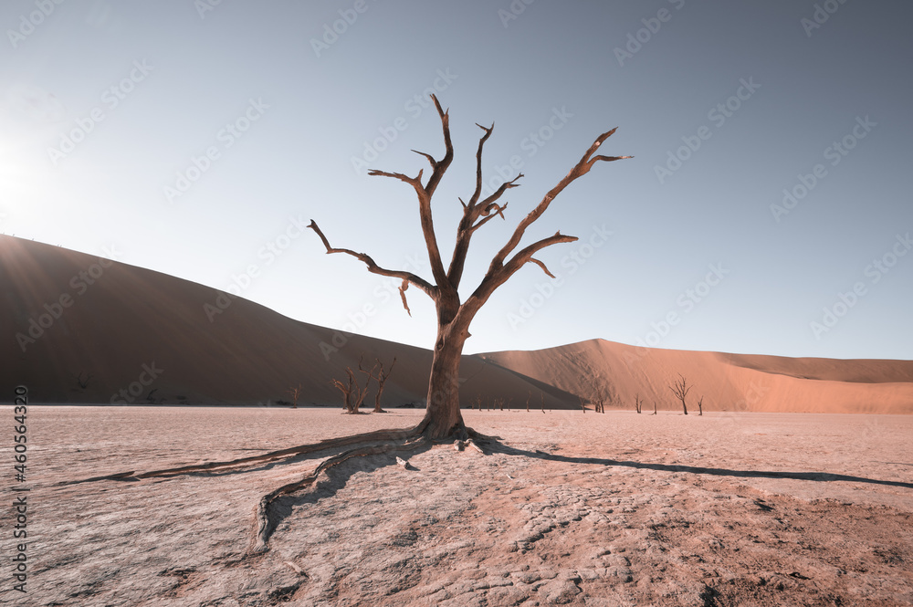 Beautiful natural landscape of Namib Desert. The region with the lowest ...