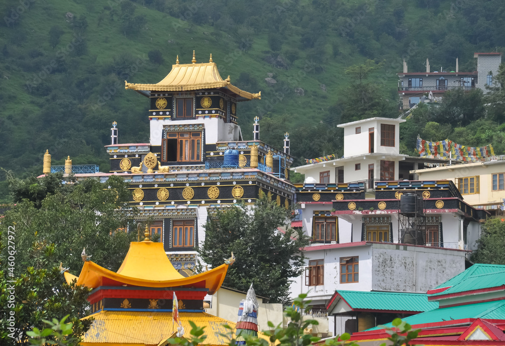 Beautiful view of Tso-Pema Ogyen Heru-kai Nyingmapa Gompa (monastery ...