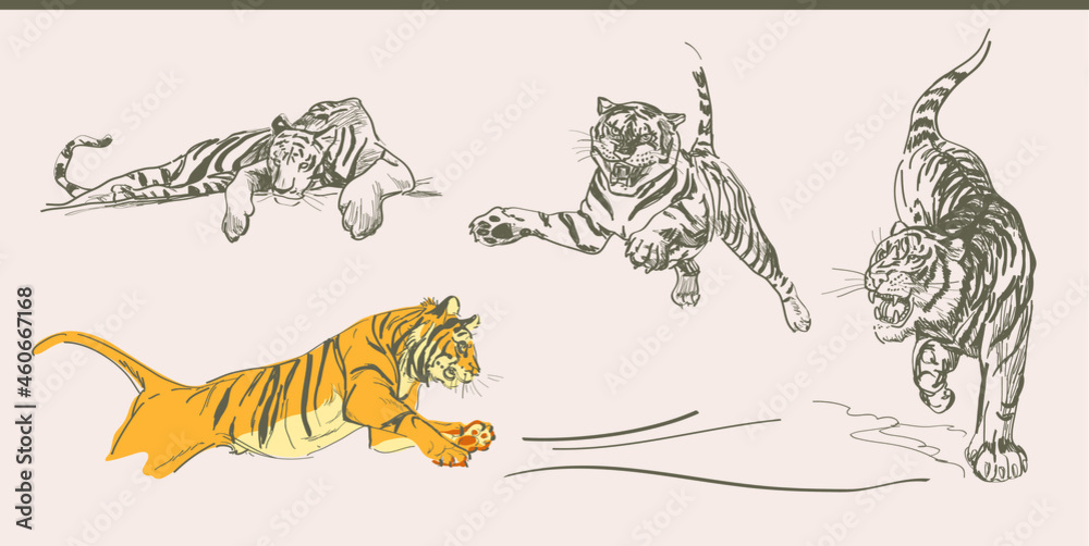 Running Tiger Drawing