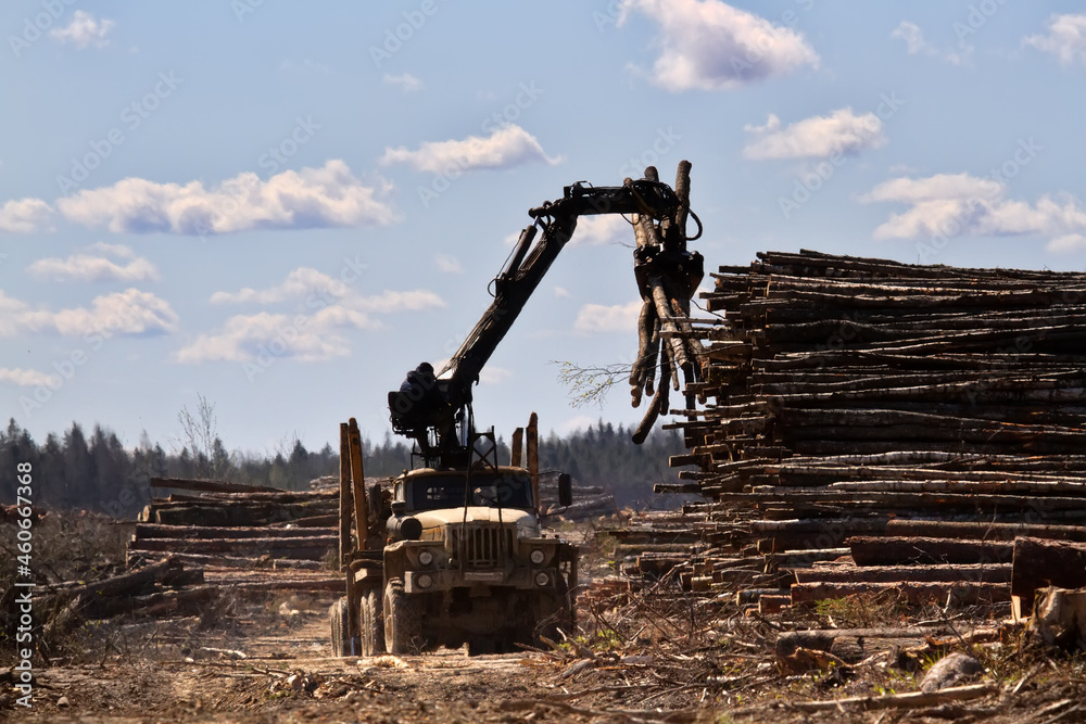 Forest industry. Operations for loading-unloading logging truck at ...