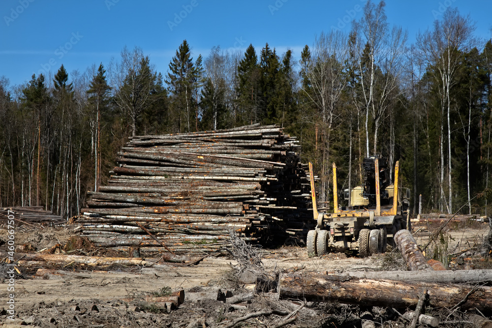 Forest industry. Operations for loading-unloading logging truck at ...