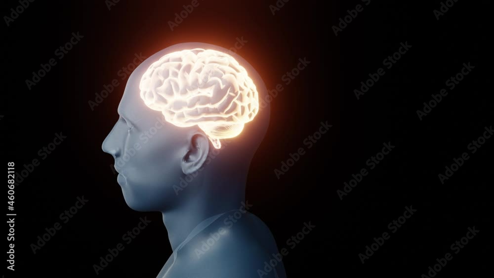 3D stylized animation render transparent silhouette of a person rotates ...