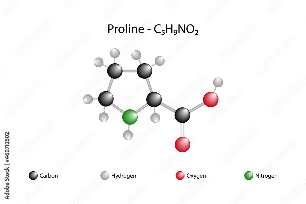 Molecular formula of proline. Proline is one of the 20 amino acids that ...
