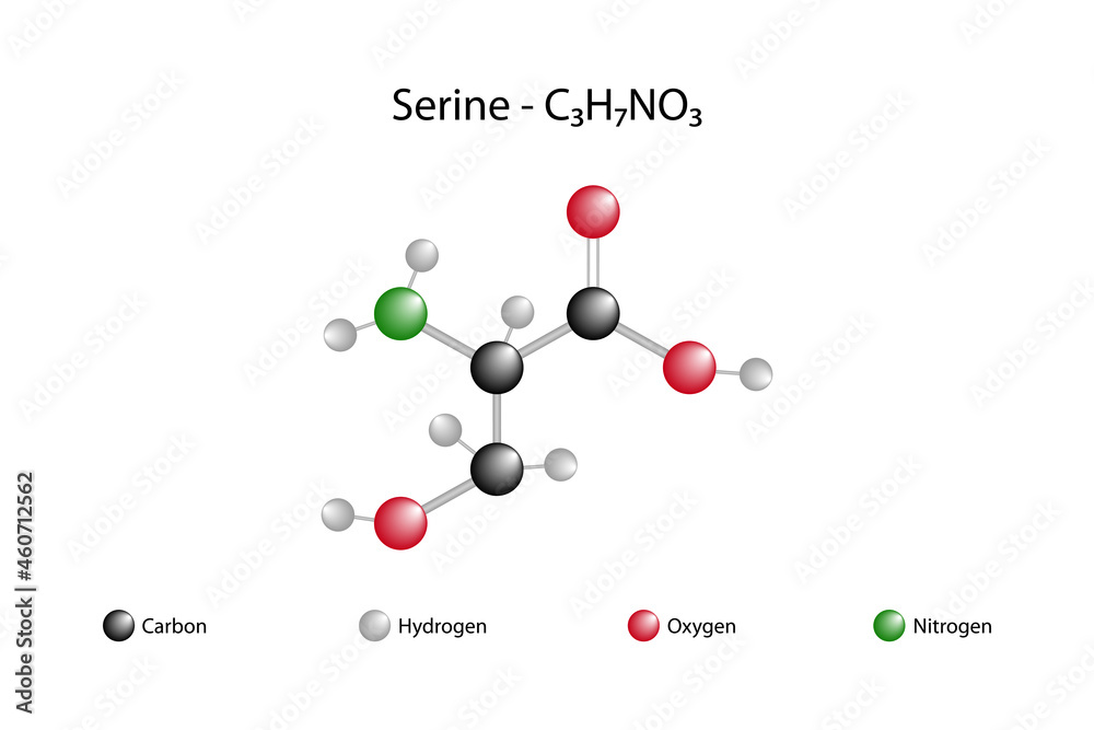 Molecular formula of the serine. Serine is an organic molecule and also ...