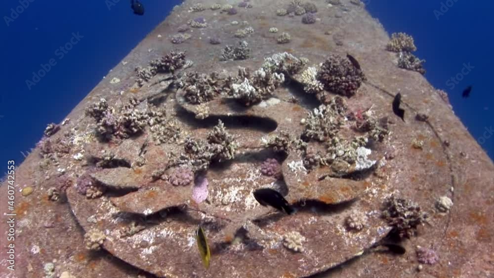 Symbol logo shipwreck Salem Express deep underwater Red sea. Secret of ...