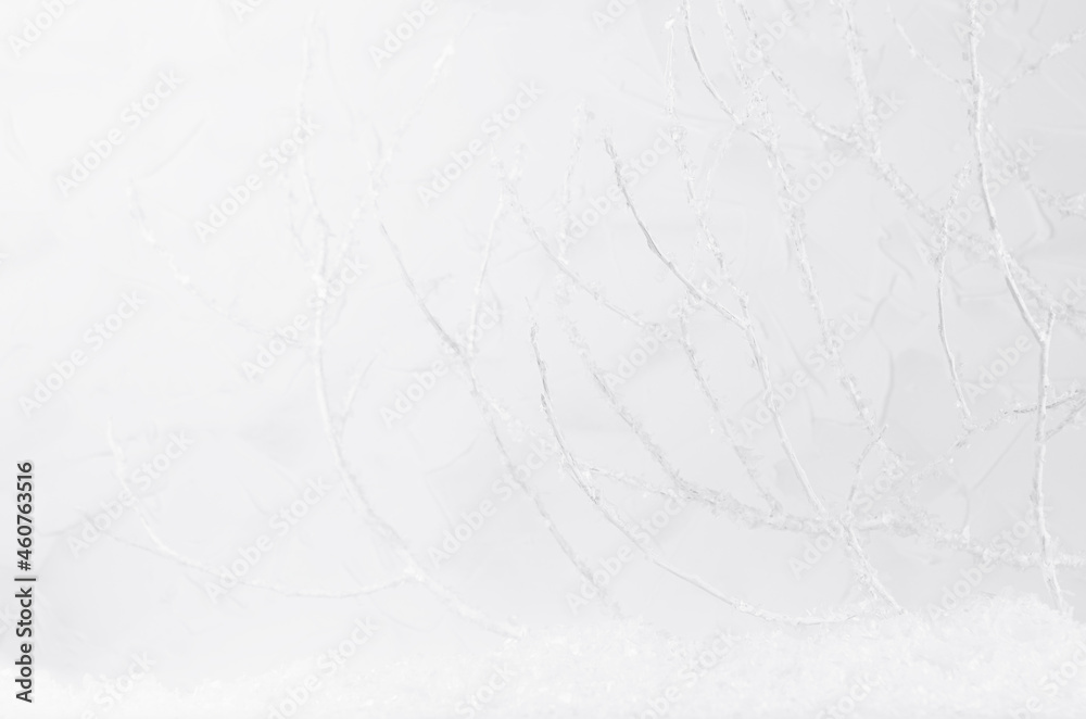 Snowy frosty winter decorative white background with branches in bright ...