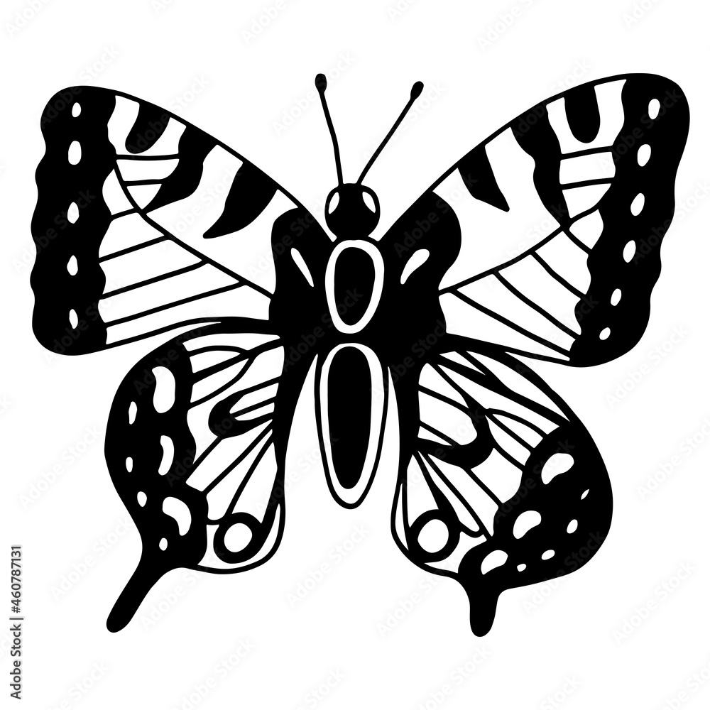 Swallowtail butterfly line illustration. Doodle monochrome sketch of ...