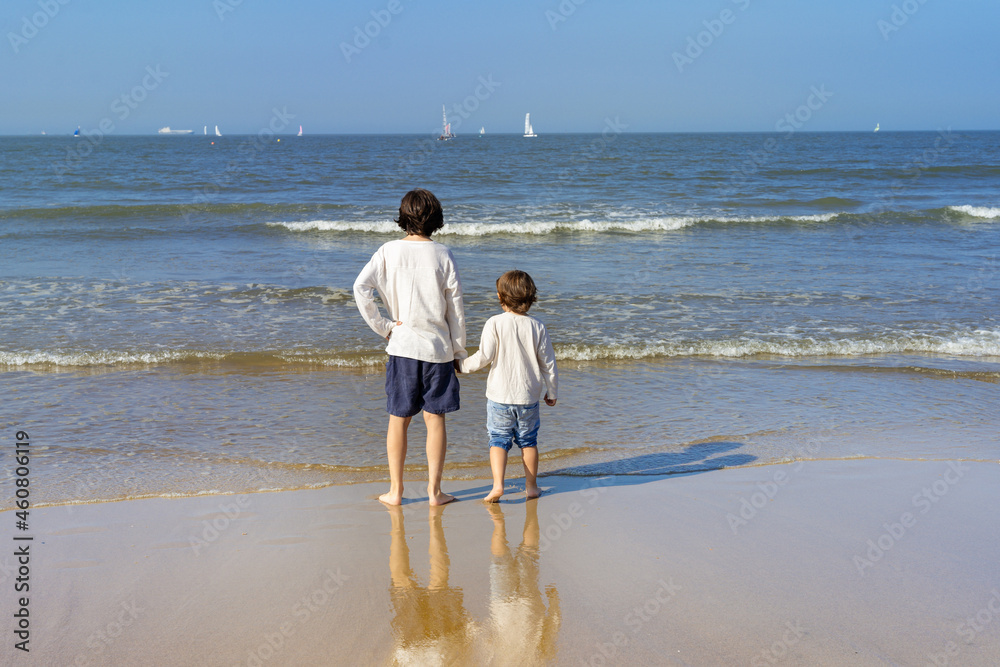 Two brothers holding hands are staying at the North Sea, back view ...