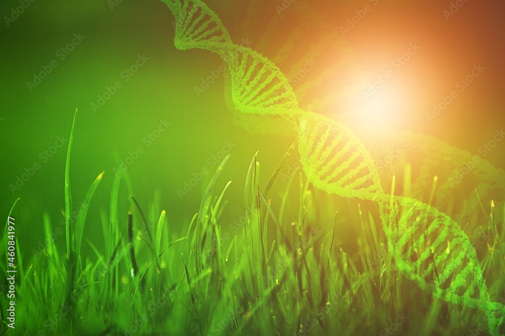 Science of plant research, Chromosome DNA and genetic, record data in ...