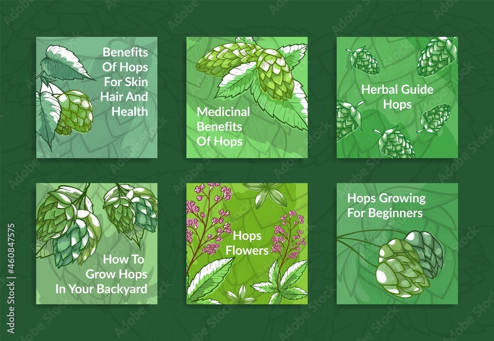 Hops post engraved hand drawn set vector illustration. Collection ...