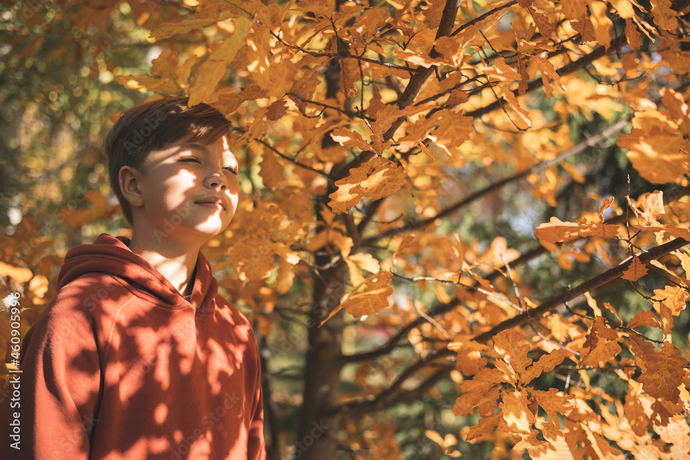 Autumn portrait of teenage boy with shadows of oak leaf outdoors. Fall ...