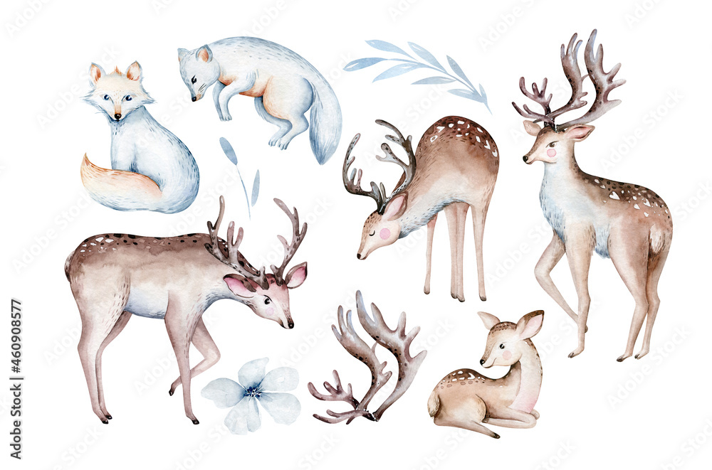 polar arctic animals watercolor collection set. snowy owl. reindeer ...
