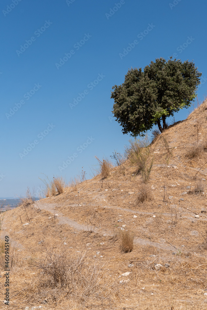 Tel Megiddo National Park is an archaeological site. Also known as ...