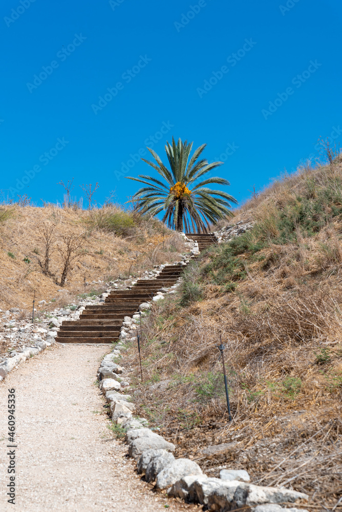 Tel Megiddo National Park is an archaeological site. Also known as ...