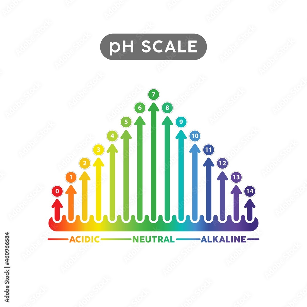 pH Scale Indicator Chart Diagram. pH analysis vector chemical scale ...