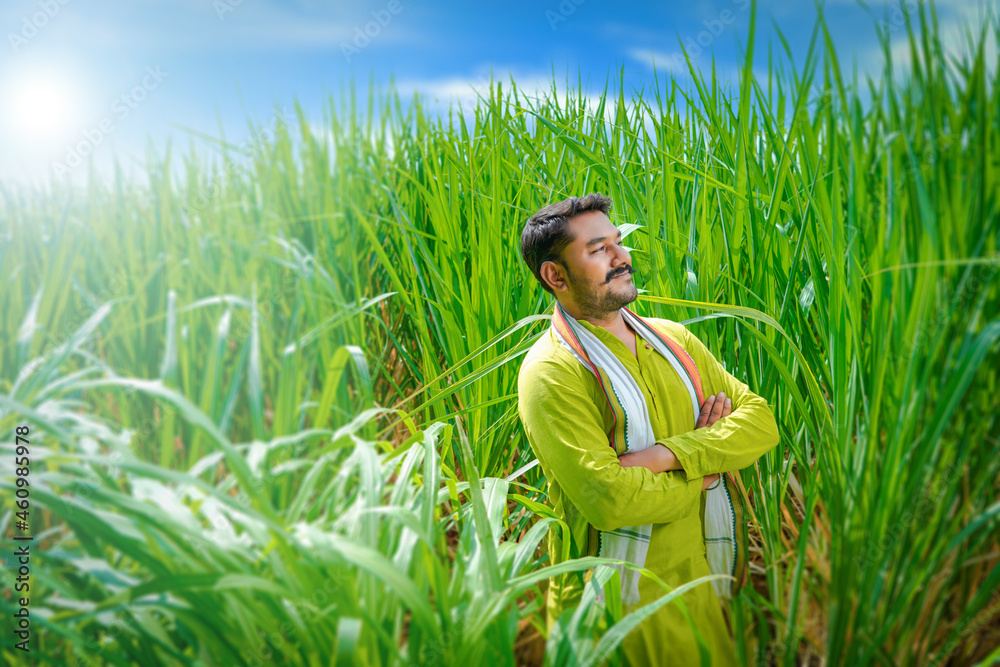 Indian farmer feeling happy and proud in sugarcane field Stock Photo ...