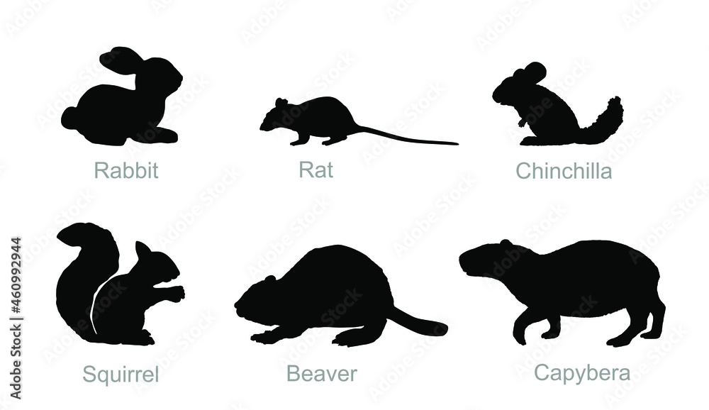 Vecteur Stock Rodent animals set vector silhouette illustration ...