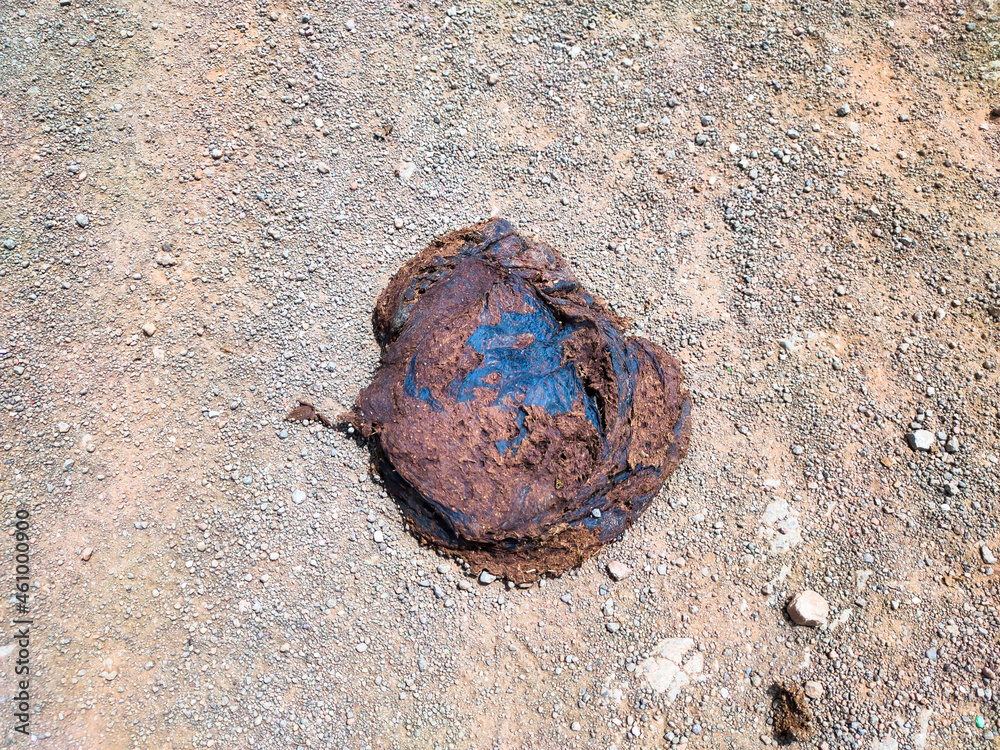 Cow dung feces on the sand, Cow manure is a natural organic fertilizer ...