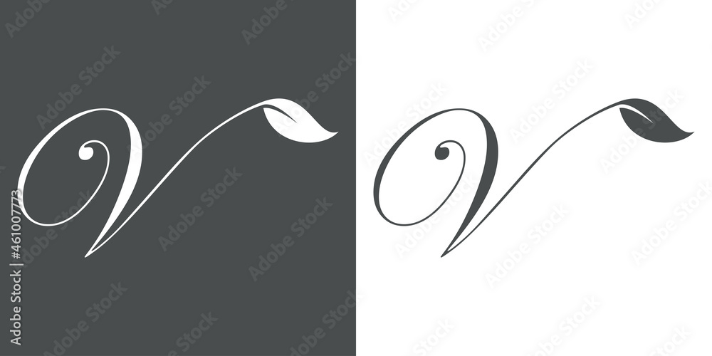 Logotipo letra inicial V con hojas de planta en fondo gris y fondo ...