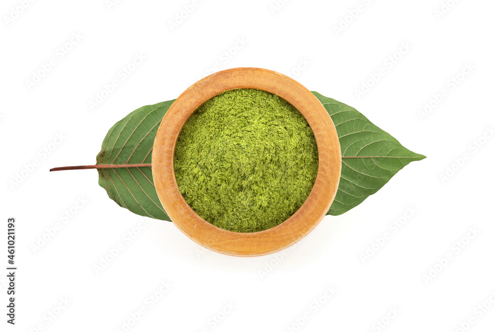 Kratom or Mitragyna speciosa and powder isolated on white background ...