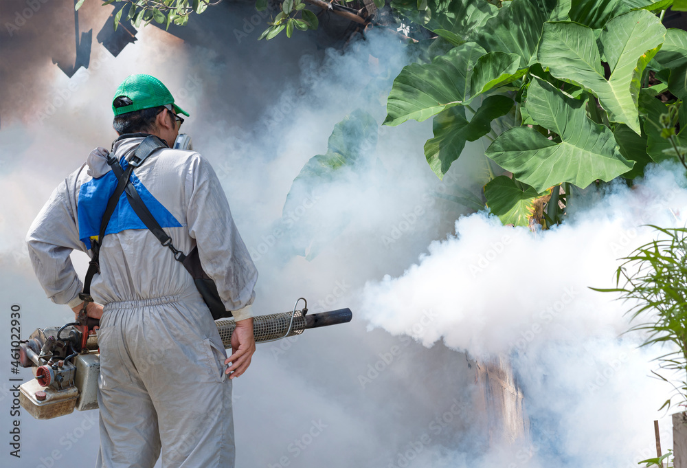 Rear view of outdoor healthcare worker using fogging machine spraying ...