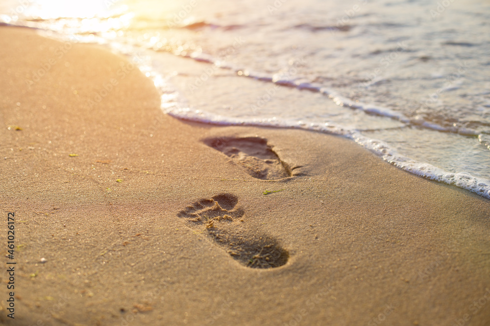 footprints on the beach, footprints in the sand, footprint on the beach ...
