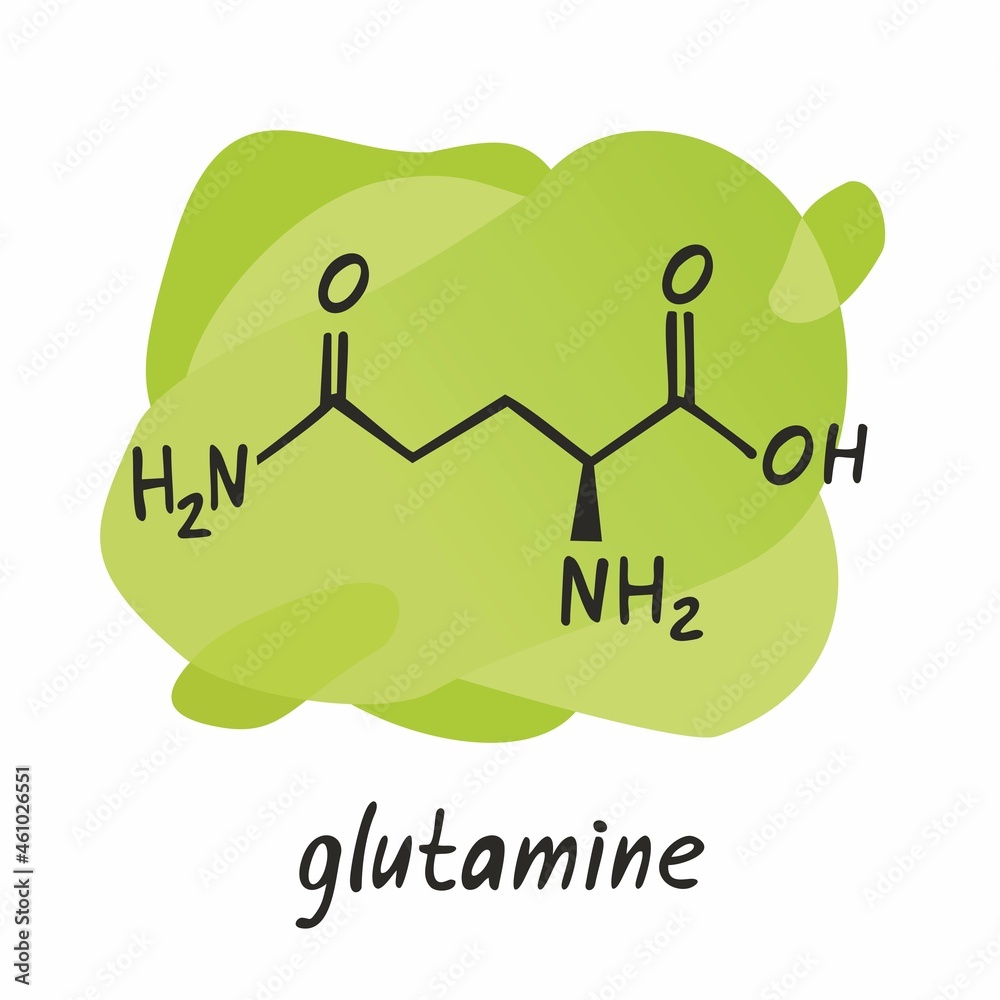 Chemical formula of the amino acid glutamine is isolated on a grey ...