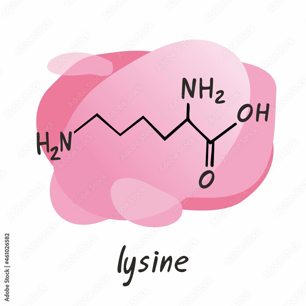 Chemical Formula Of The Amino Acid Lysine Is Isolated On A Colored chemical-formula-of-the-amino-acid-lysine-is-isolated-on-a-colored