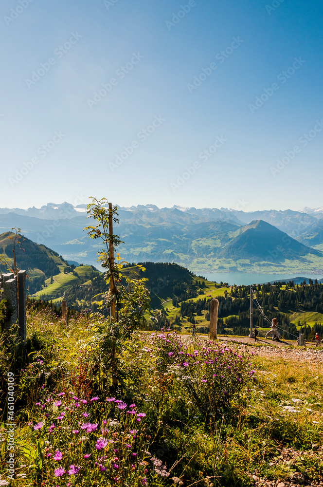 Rigi, Rigi Kulm, Vierwaldstättersee, Aussicht, Holzbank, Stanserhorn ...