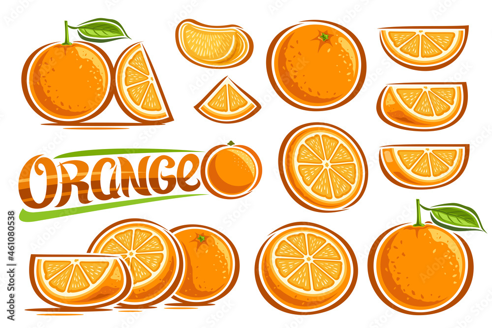 Vector Oranges Set, lot collection of cut out illustrations fruit still ...