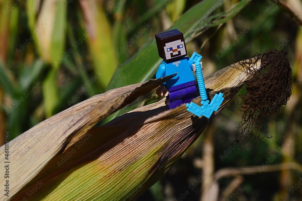 LEGO Minecraft figure of main character Steve standing with diamond ...