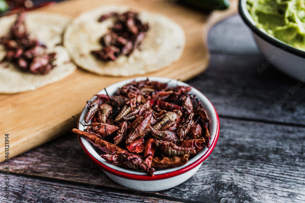 grasshoppers or chapulines snack. Traditional mexican food from Oaxaca ...