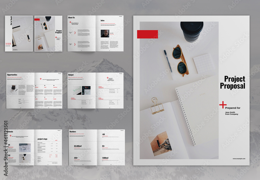 Project Proposal Layout Stock Template | Adobe Stock