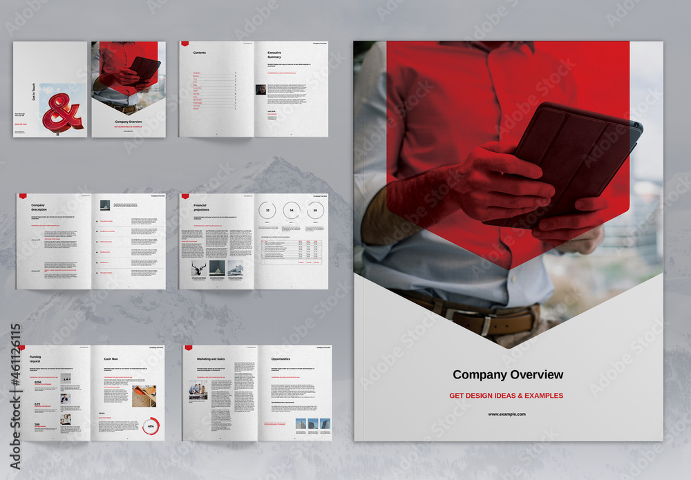 Company Overview Layout Stock Template | Adobe Stock