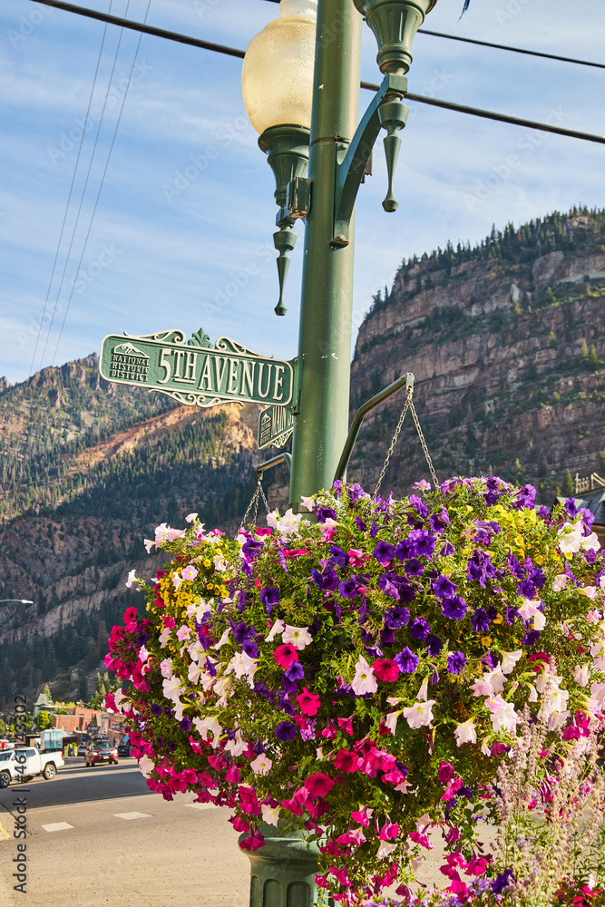 Flowers hanging in planter from light post with road signs and ...