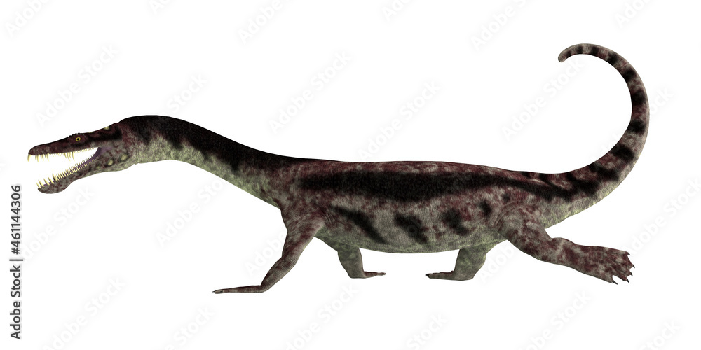 Nothosaurus Reptile Walking - Nothosaurus was a carnivorous marine ...