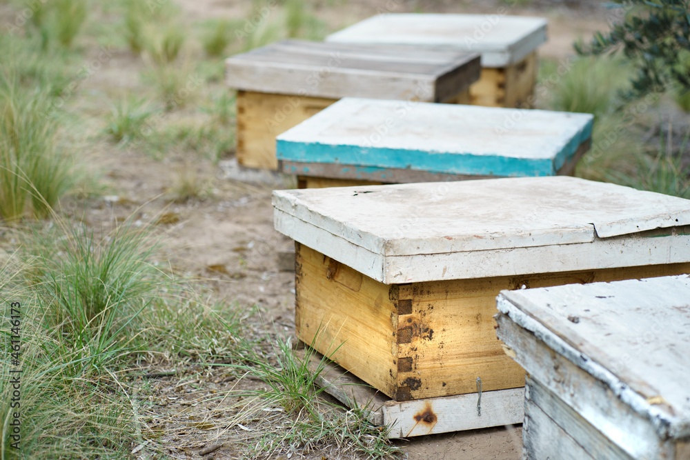 group of hives landing in the field with no visible bees. Stock Photo ...