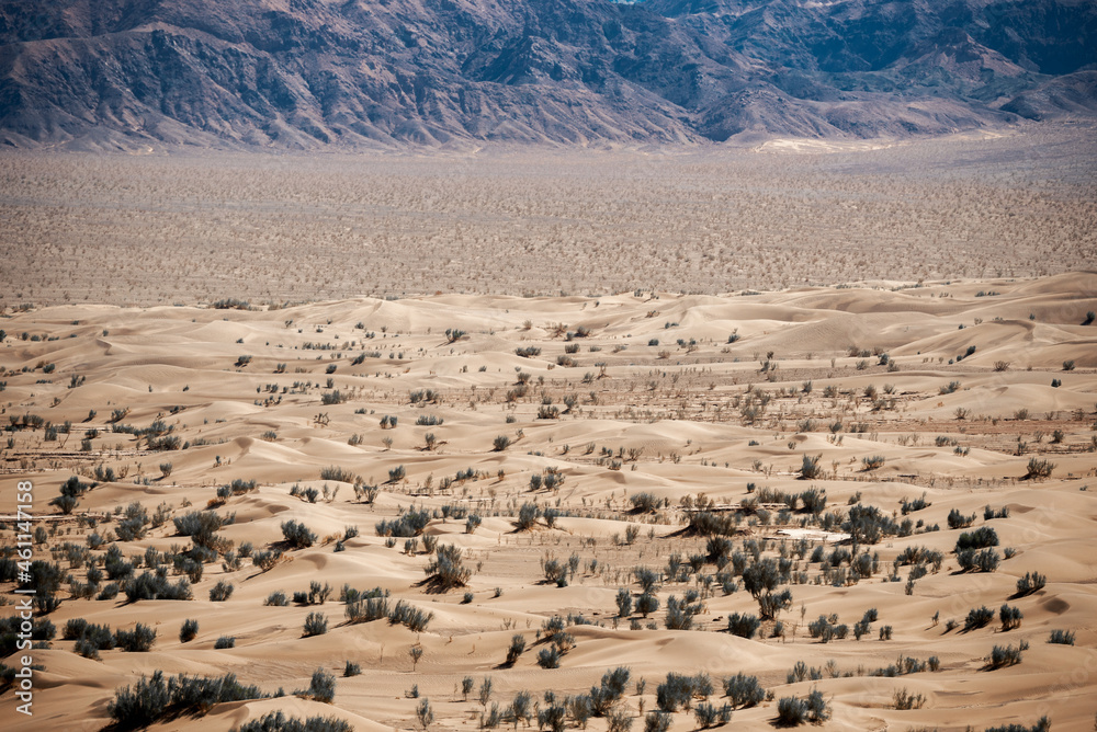 the formation of sand dunes and tamarisk trees in dasht e lut or sahara ...