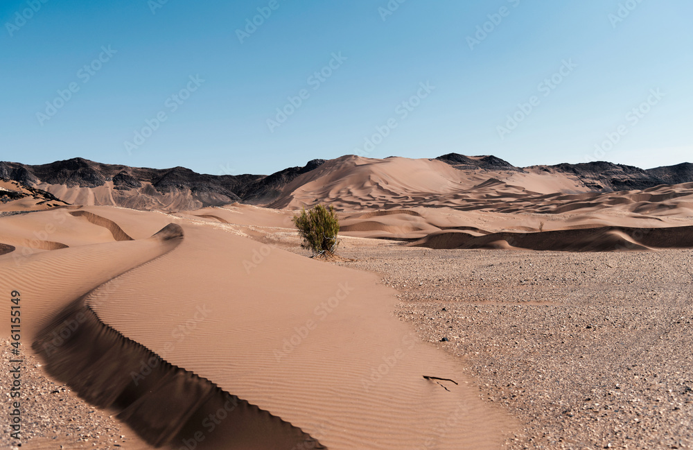 the formation of sand dunes in eastern part of dash e lut or sahara ...