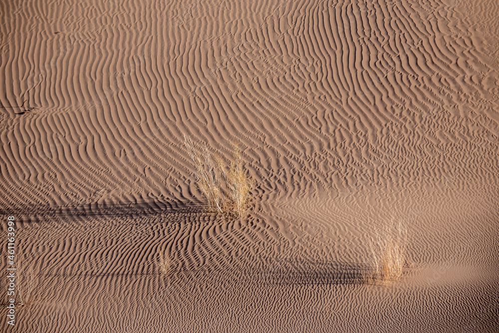 the formation of sands in dasht e lut or sahara desert with waved sand ...