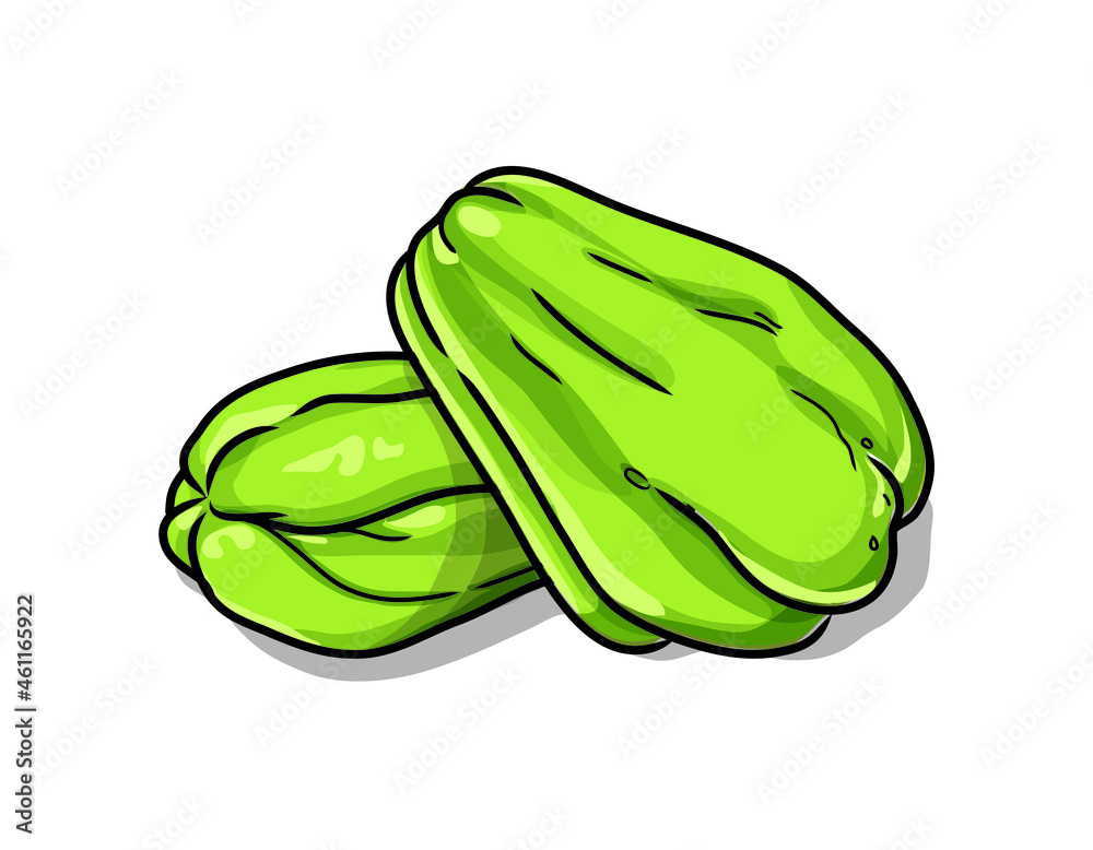 vector Chayote line drawing on white background Stock Vector | Adobe Stock