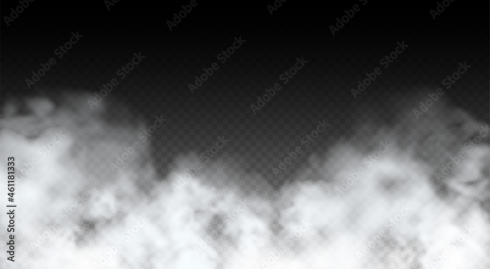 Vector Abstract realistic fog cloud design element Stock Vector | Adobe ...